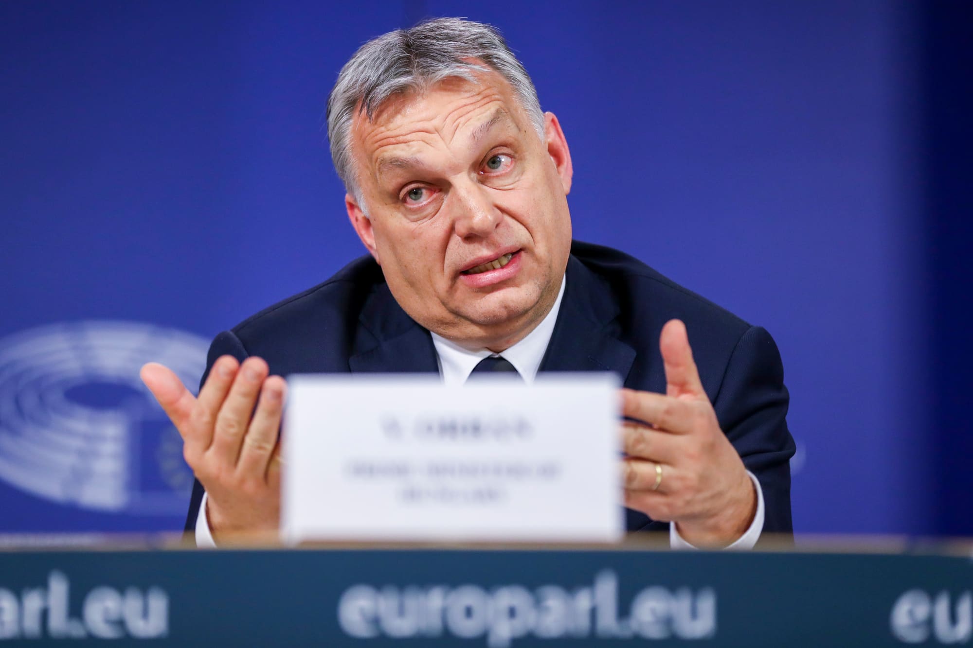 Europese landbouwsubsidies: niet óf maar hoevéél er wordt bezuinigd ...